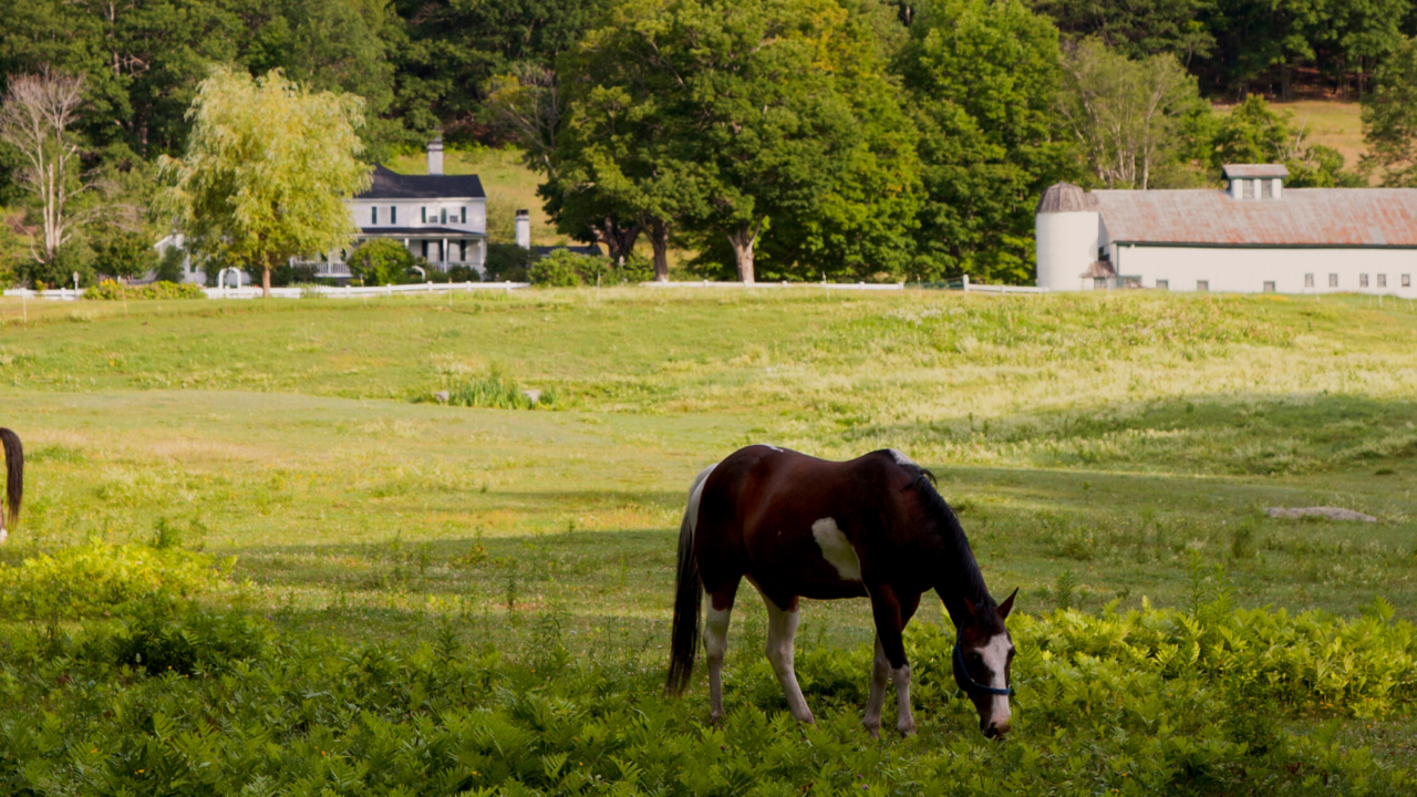 Methods of Land Protection | Squam Lakes Conservation Society